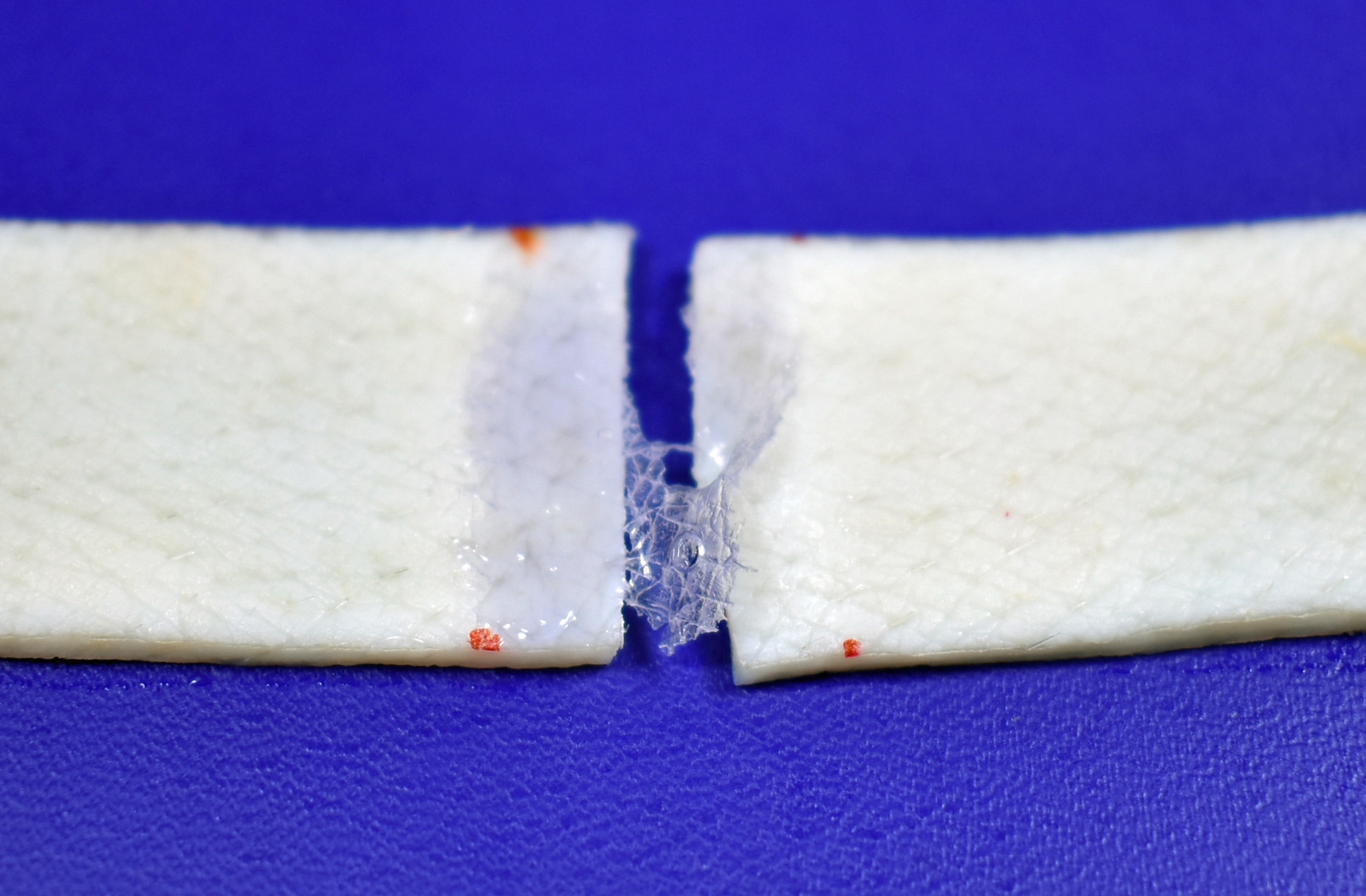 Tissue Medical Adhesive Testing | Applus+ Laboratories